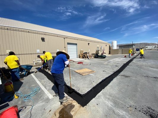 Hammer Plumbing and Pumping - Updated December 2025 - 71 Photos - 148 ...