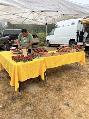 FARMERS MARKET IN BODEGA BAY - Updated December 2025 - 54 Photos & 17 ...