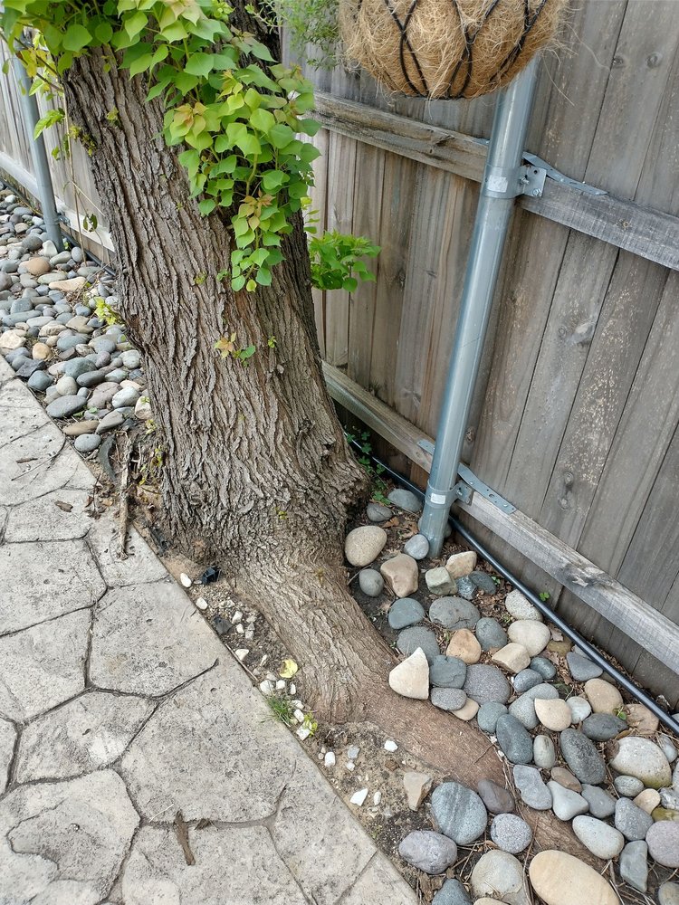 DUNCAN TREE & LANDSCAPE - Updated June 2025 - 78 Photos & 20 Reviews ...