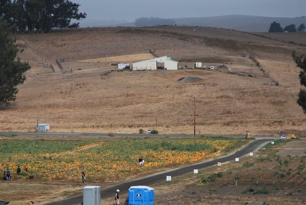 SPRING HILL FARM - Updated October 2025 - 18 Photos & 14 Reviews - 4235 ...