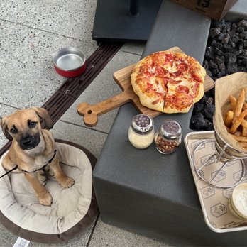 THE REDD DOG - Updated October 2025 - 78 Photos & 50 Reviews - 10598 NE ...