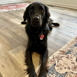 PETS R’INN - Updated July 2025 - 2800 S Columbia Rd, Grand Forks, North ...