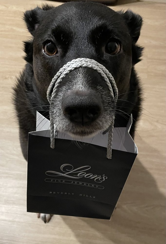 LEON’S OF BEVERLY HILLS - Updated August 2025 - 48 Photos & 35 Reviews ...