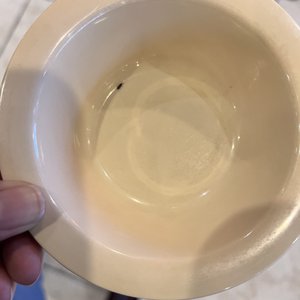 RED DRAGON BUFFET - 71 Photos & 163 Reviews - 1461 North Dysart Rd ...