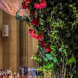 AVRA MIAMI - Updated December 2025 - 206 Photos & 112 Reviews - 17945 ...