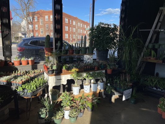 FARMERS MARKET GARDEN CENTER - Updated May 2025 - 81 Photos & 111 ...