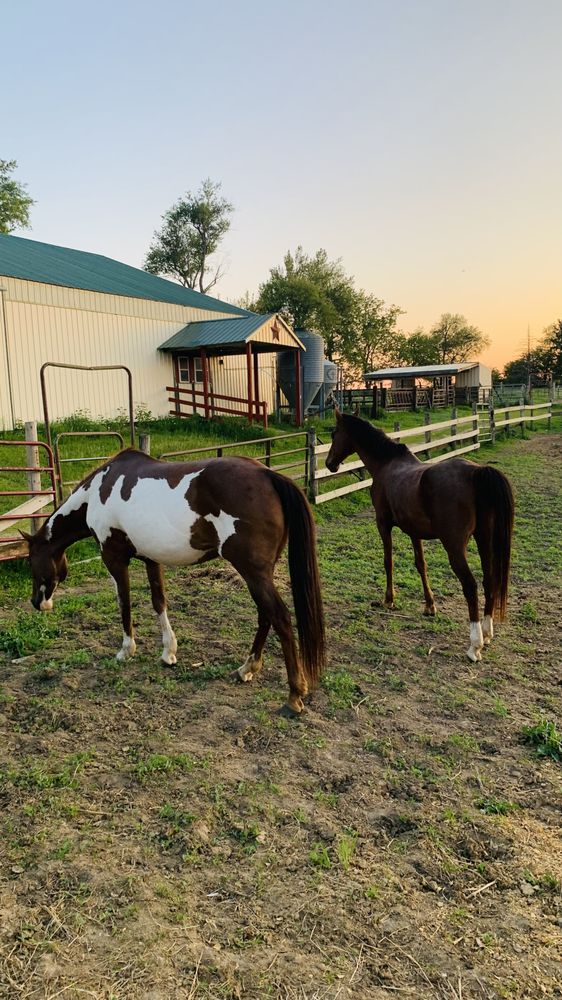 KC’S RANCH & STABLES - Updated March 2025 - Request Information - 13740 ...