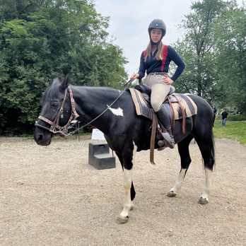 MEMORY LANE STABLES - Updated December 2025 - 168 Photos & 123 Reviews ...