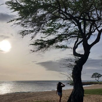 ZABLAN - Updated January 2026 - 39 Photos & 14 Reviews - 89-49 Laumania ...