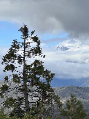 HUME LAKE CHRISTIAN CAMPS - Updated December 2025 - 69 Photos & 35 ...