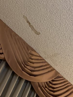 RED LION HOTEL KELSO LONGVIEW - 157 Photos & 114 Reviews - 510 Kelso Dr ...