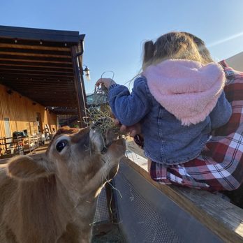 FOX POINT FARMS - Updated June 2025 - 342 Photos & 121 Reviews - 1150 ...