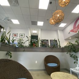 SOL BEAN JUICE BAR AND KITCHEN - Updated December 2025 - 143 Photos ...