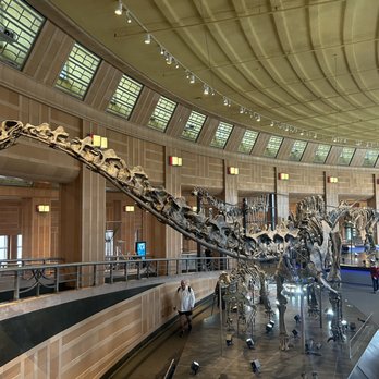 MUSEUM OF NATURAL HISTORY AND SCIENCE - Updated September 2025 - 85 ...