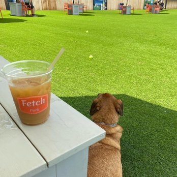 FETCH PARK - Updated October 2024 - 11 Reviews - 11440 Maxwell Rd ...