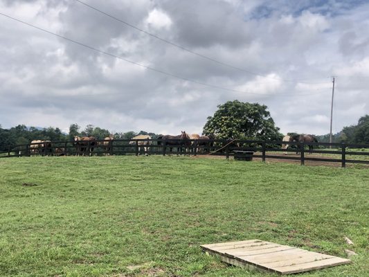 THE MARRIOTT RANCH BED AND BREAKFAST - 105 Photos & 40 Reviews - Hotels ...