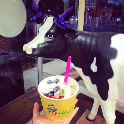 YOTALITY - 48 Photos & 37 Reviews - 5759 Main St, Williamsville, NY - Yelp