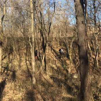 MITCHELL MEMORIAL FOREST - Updated November 2025 - 78 Photos & 10 ...