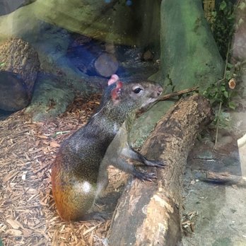 BOONSHOFT MUSEUM OF DISCOVERY - Updated July 2025 - 173 Photos & 76 ...