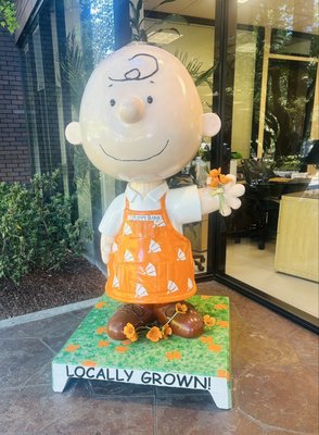 POPPY BANK - Updated December 2025 - 16 Reviews - 438 First Street ...