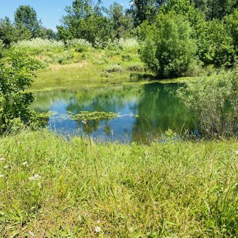 KEIZER RAPIDS PARK - Updated September 2025 - 40 Photos & 29 Reviews ...