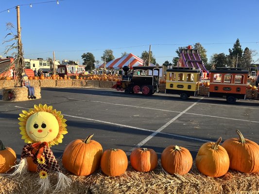 SEASONAL ADVENTURES PUMPKIN PATCH AND CHRISTMAS TREES - Updated October ...