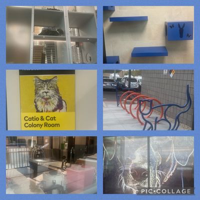 ARIZONA HUMANE SOCIETY - PAPAGO PARK CAMPUS - Updated May 2025 - 45 ...