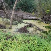 SHIPLEY NATURE CENTER - 274 Photos & 41 Reviews - Parks - 17851 ...