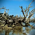 BOTANY BAY PLANTATION - 278 Photos & 65 Reviews - 7510 Botany Bay Rd ...