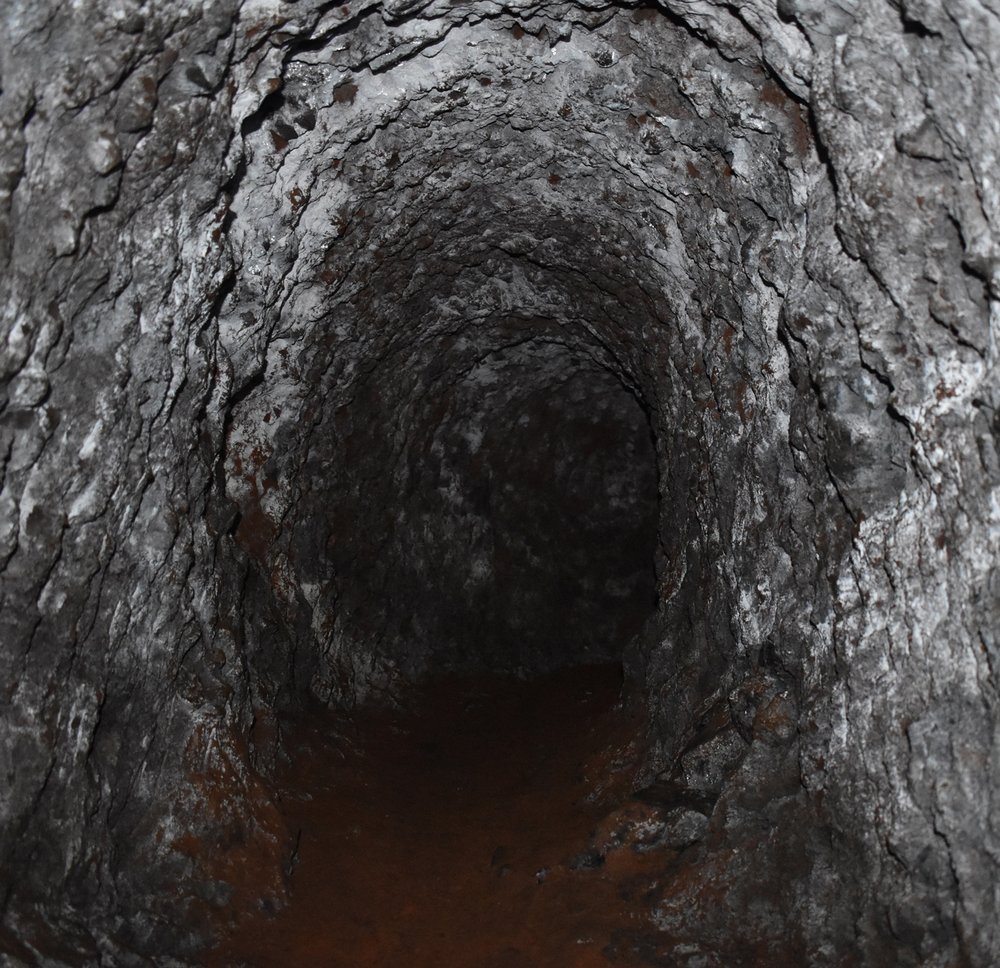 WAIHOU SPRING TRAIL - 60 Photos & 20 Reviews - 2463 Olinda Rd, Makawao ...