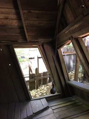 THE OREGON VORTEX - Updated July 2024 - 42 Photos & 19 Reviews - 4303 ...