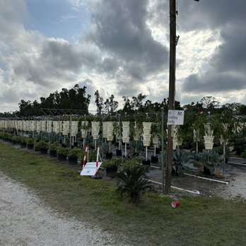 CRAZY DINGO BREWING - Updated June 2025 - 121 Photos & 58 Reviews ...