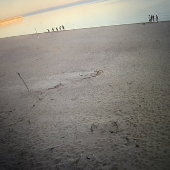 CRYSTAL BEACH - Updated January 2026 - 16 Photos - 4155 Erie Rd, Fort ...