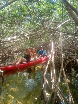 SPONGEBOB KAYAK ECO TOURS - Marathon, Florida - Rafting/Kayaking ...