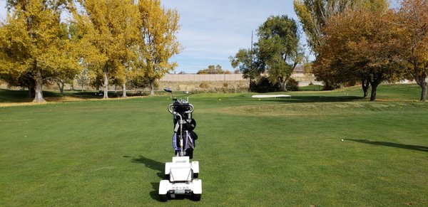 FOREST DALE GOLF COURSE - Updated November 2024 - 15 Photos & 15 ...