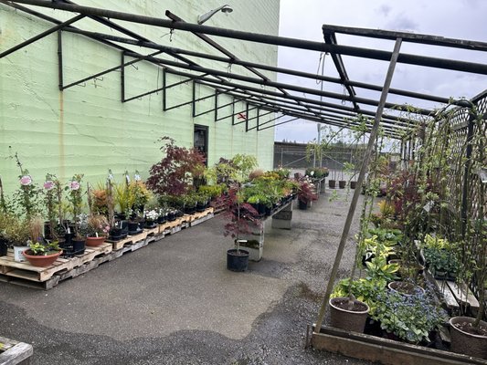 MARSHALL’S GARDEN & PET - Updated December 2025 - 319 S I St, Aberdeen ...