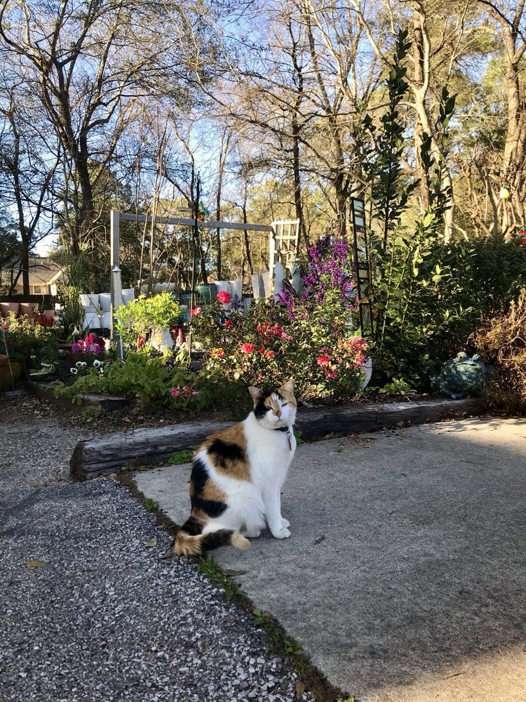 PLANTS FOR ALL SEASONS - 17 Photos & 28 Reviews - Nurseries & Gardening ...