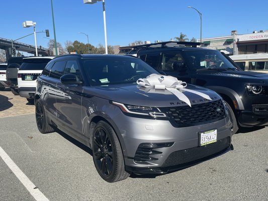 COLE EUROPEAN - Updated April 2025 - 196 Photos & 414 Reviews - 2103 N ...