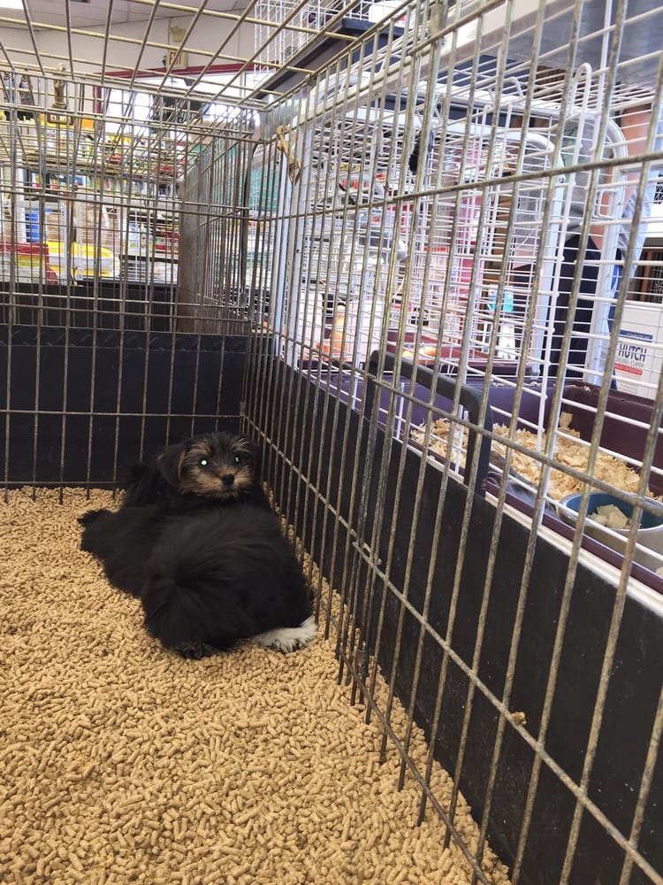 DOUBLE M FEED GARDEN & PET SUPPLY - Updated May 2026 - 1121 Gause Blvd ...