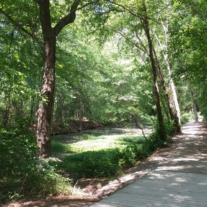 LAKE BENSON PARK - 33 Photos & 16 Reviews - Parks - 921 Buffaloe Rd ...