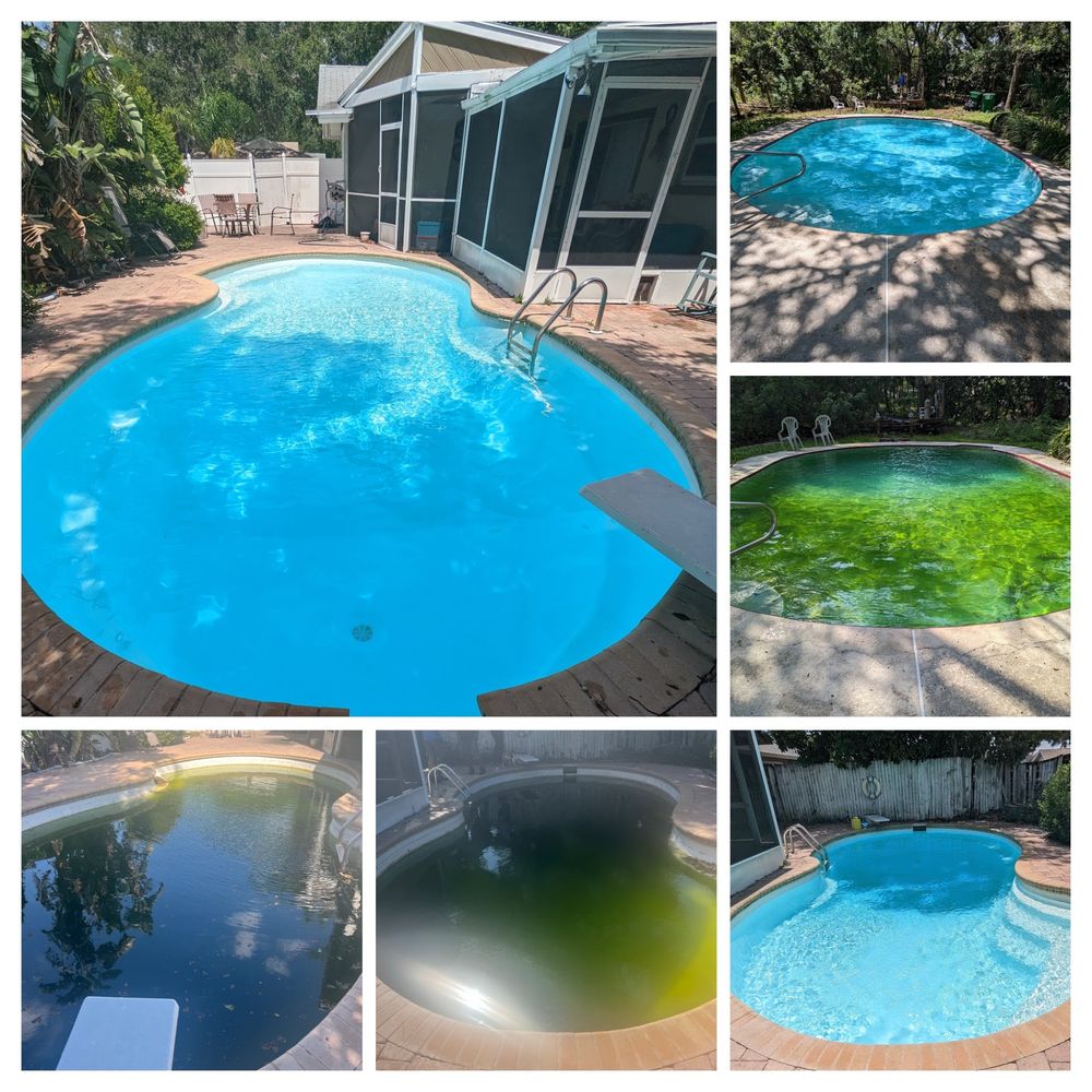 AQUAGENX POOL SERVICES - 7901 4th St N, St. Petersburg, Florida - Pool ...