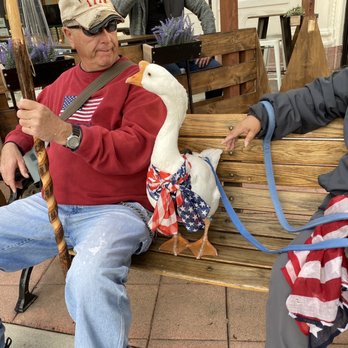 ORANGE CIRCLE & OLD TOWNE ORANGE - 207 Photos & 24 Reviews - W Chapman ...