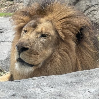 BLANK PARK ZOO - Updated October 2025 - 344 Photos & 85 Reviews - 7401 ...