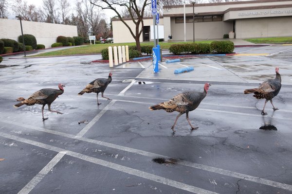 DEPARTMENT OF MOTOR VEHICLES - CONCORD - Updated March 2025 - 57 Photos ...