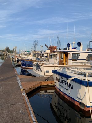 SEA BREEZE CHARTERS - 45 Photos & 27 Reviews - 185 Howerton Way SE ...