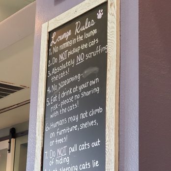 PHX CAT CAFE - Updated November 2025 - 511 Photos & 158 Reviews - 147 E Garfield St, Phoenix ...
