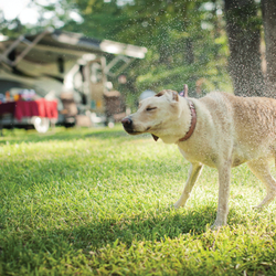 LITTLE DEALER LITTLE PRICES - 108 Photos & 89 Reviews - 2757 N Truwood ...