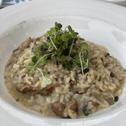 BIS ON MAIN - 320 Photos & 472 Reviews - American (New) - 10213 Main St ...