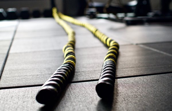 THE TRAINING LAB - Updated December 2025 - 23 Photos & 99 Reviews - 54 ...