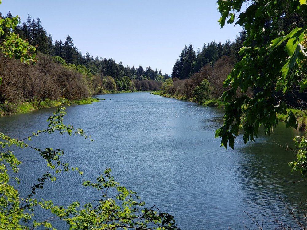 PARADISE POINT STATE PARK - Updated April 2024 - 65 Photos & 36 Reviews ...